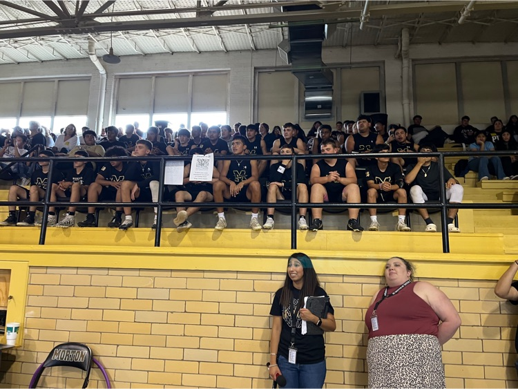 Live Feed | Morton ISD